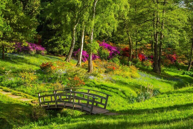 Life Is The Seeds You Sow: The Ancient Principle That Determines Your ...