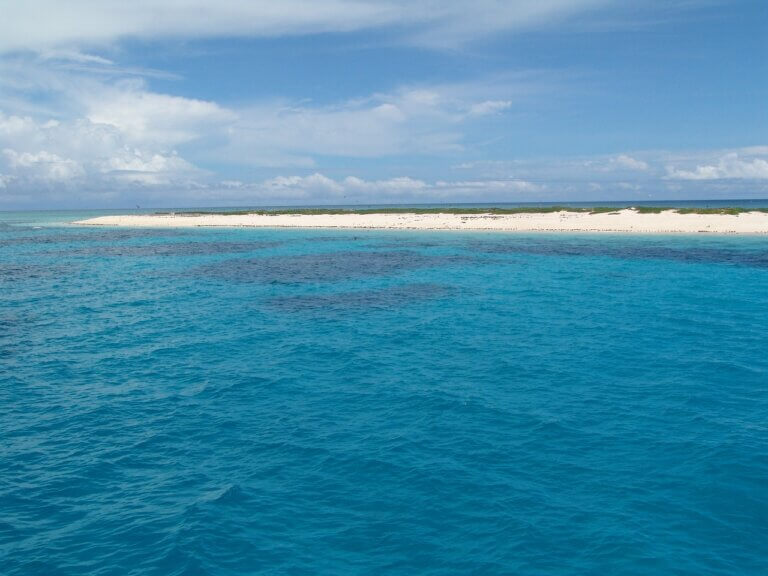 Discover The Wonders Of The Great Barrier Reef: Top Activities, Tips ...